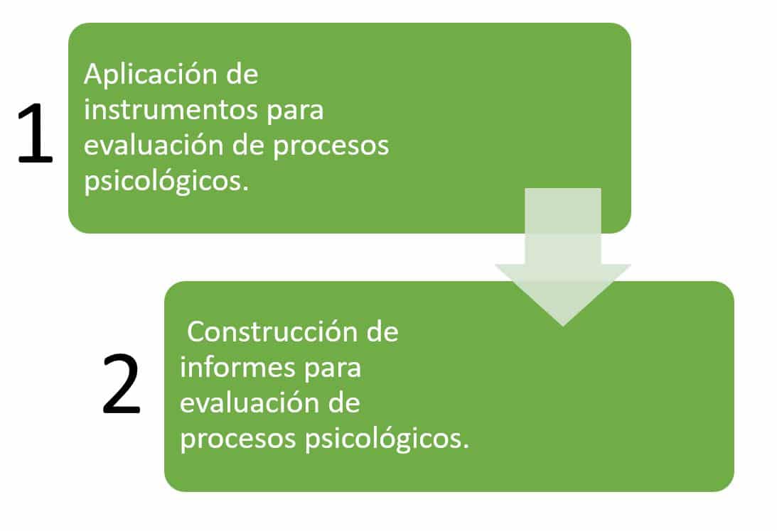 Servicio en Instrumentos psicológicos - LINCIPH